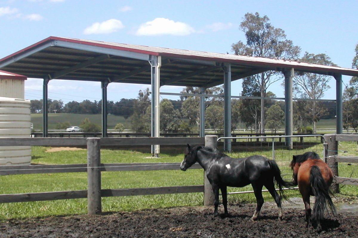 Paddock Shelters - Horse shelters for sale - Ranbuild